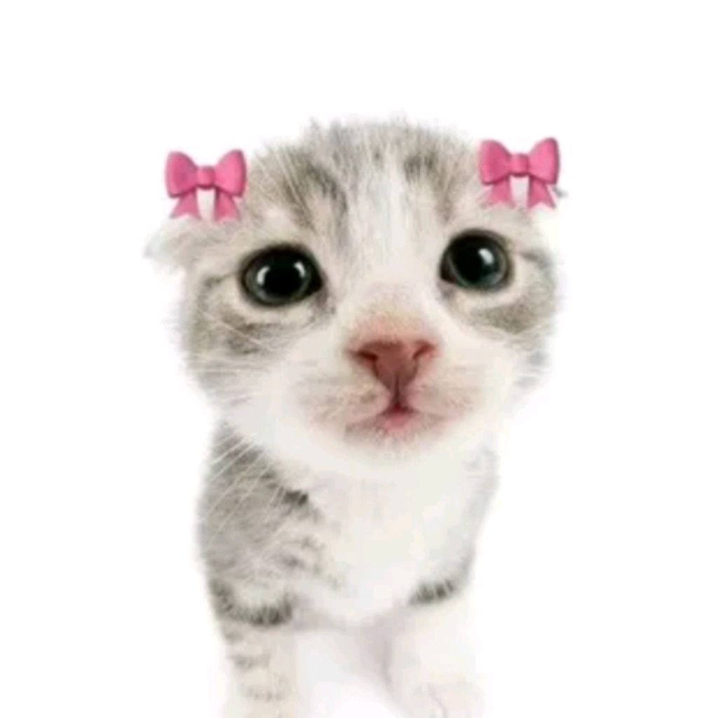 Иконка канала Lerka