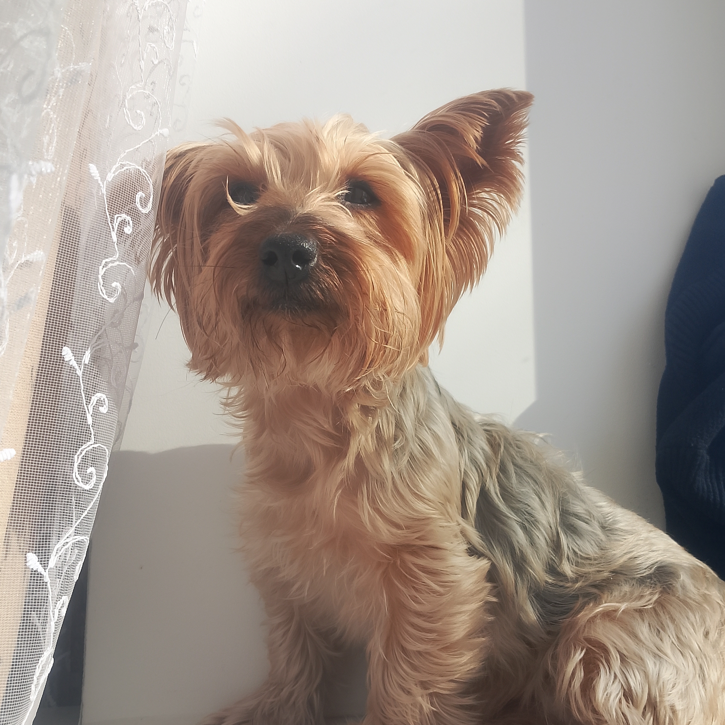 Иконка канала Руслан канал.