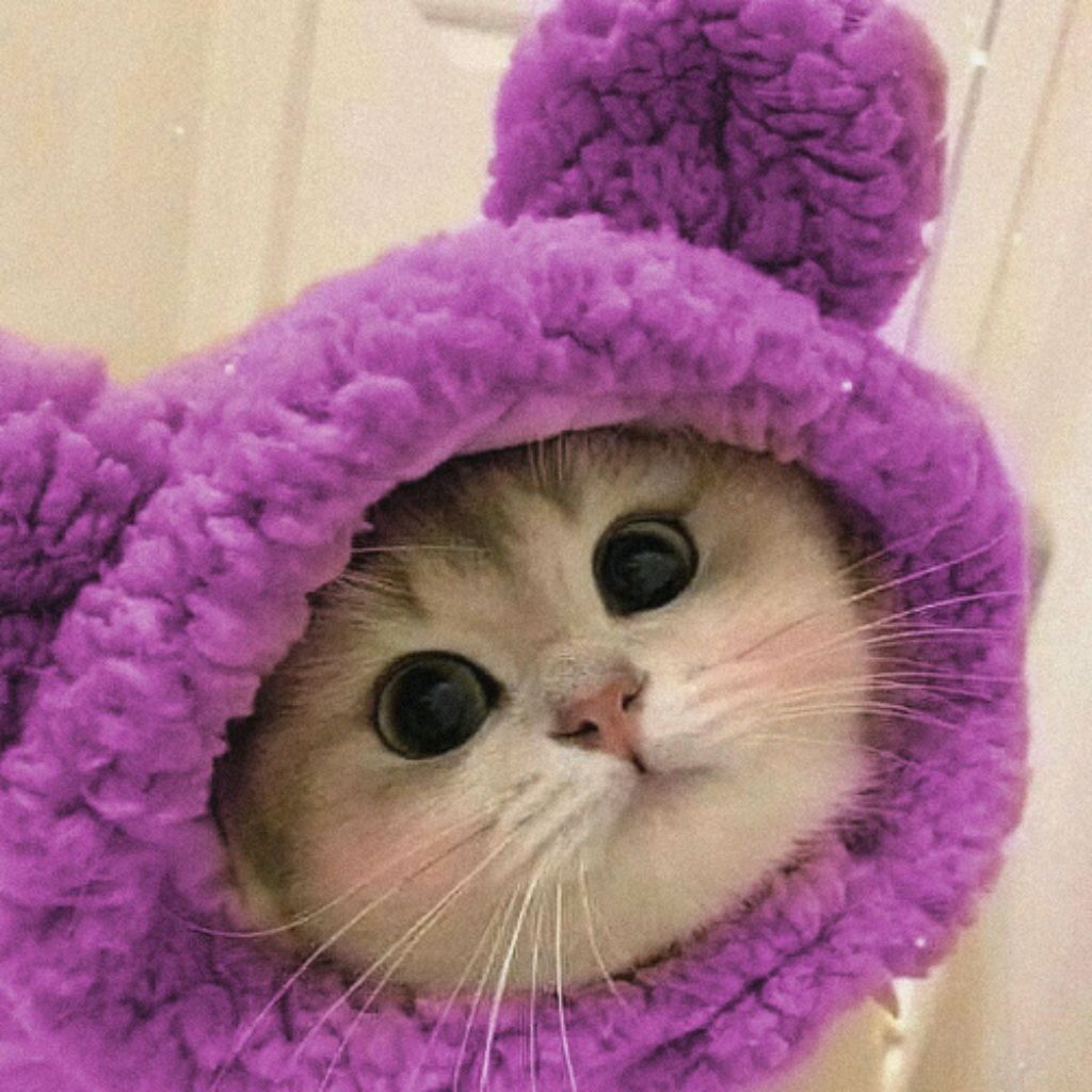 Иконка канала Лиза Милашка 🌸 🌸 🌸 🌸