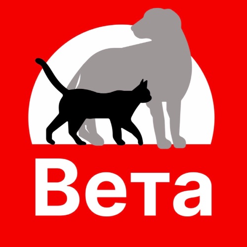 Иконка канала ВДЦ ВЕТА