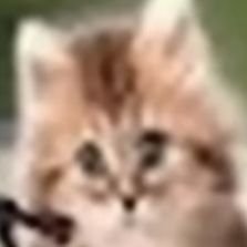 Иконка канала √KIDMAD√