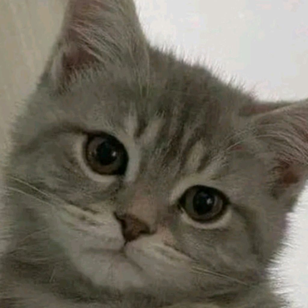 Иконка канала Bratishka_¥♤