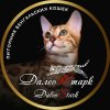 Иконка канала Питомник Бенгальских Кошек DaleoStark