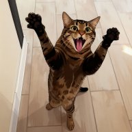 Иконка канала ЧУДО✨ЙОДА