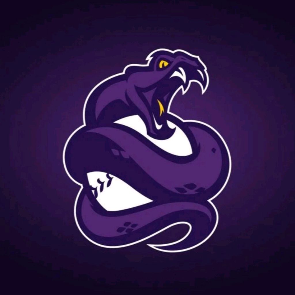 Иконка канала Mister Zmey