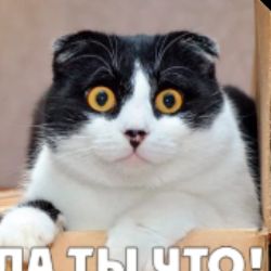 Иконка канала Alleekkss