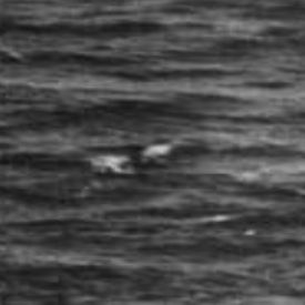 Иконка канала Apeshka