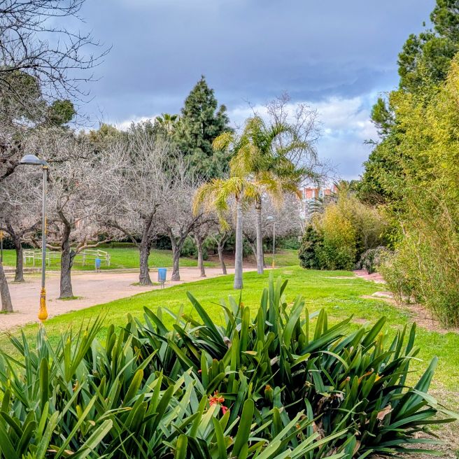 Иконка канала Мандариновый рай