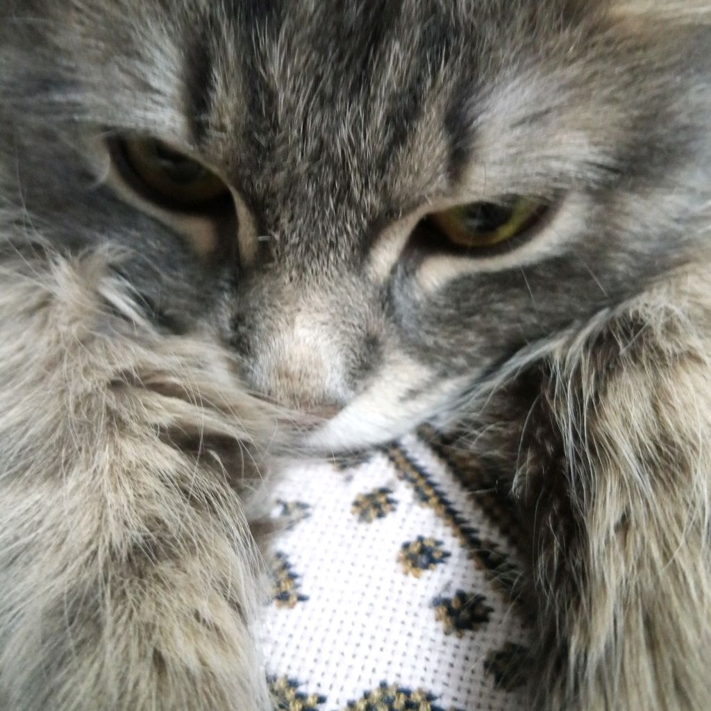 Иконка канала Пиксель 2.0