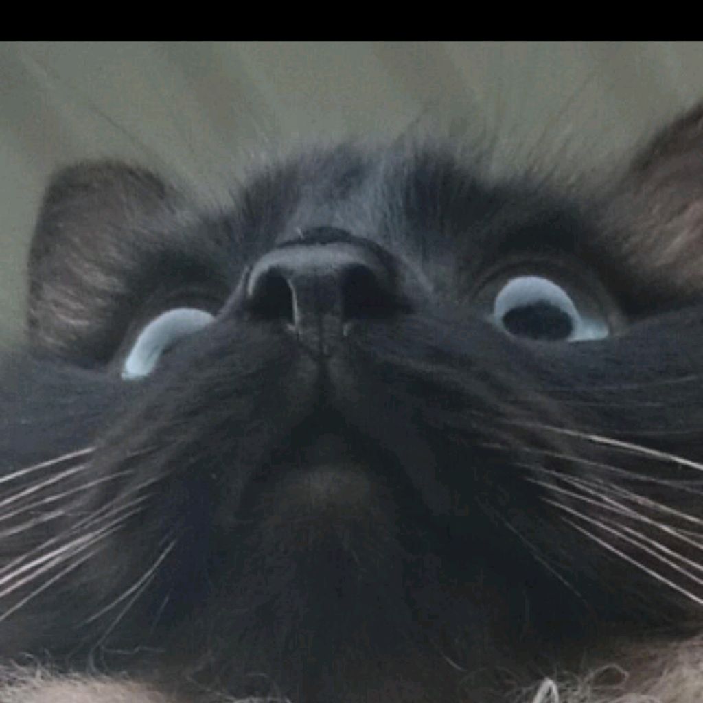 Иконка канала rutube_account_16917466