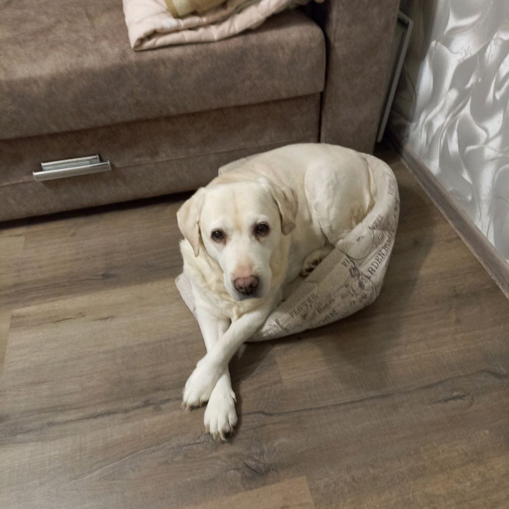 Иконка канала rutube_account_1465635