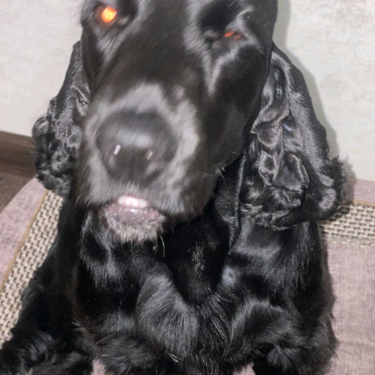 Иконка канала 000kamili4ka000