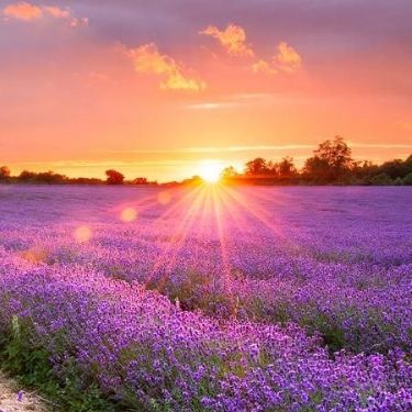 Иконка канала Mila Lu