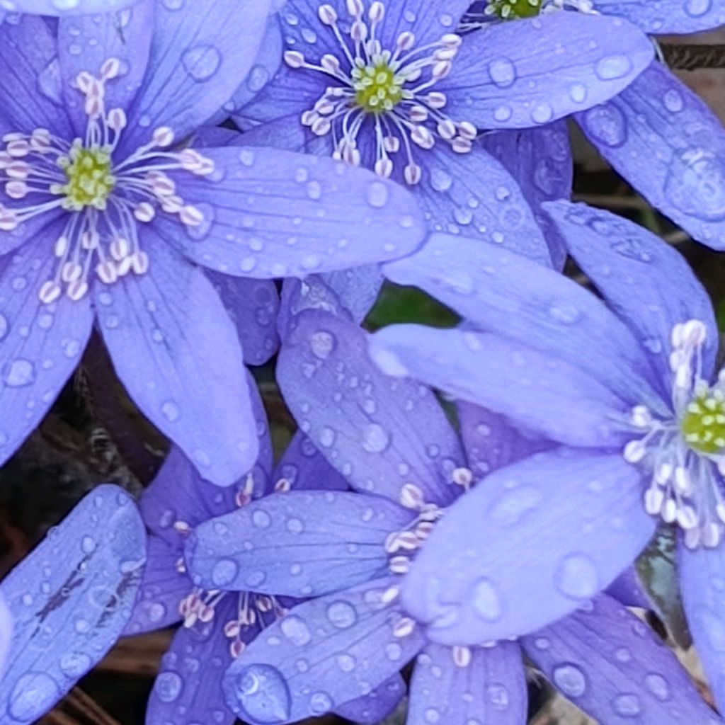 Иконка канала channel76025609