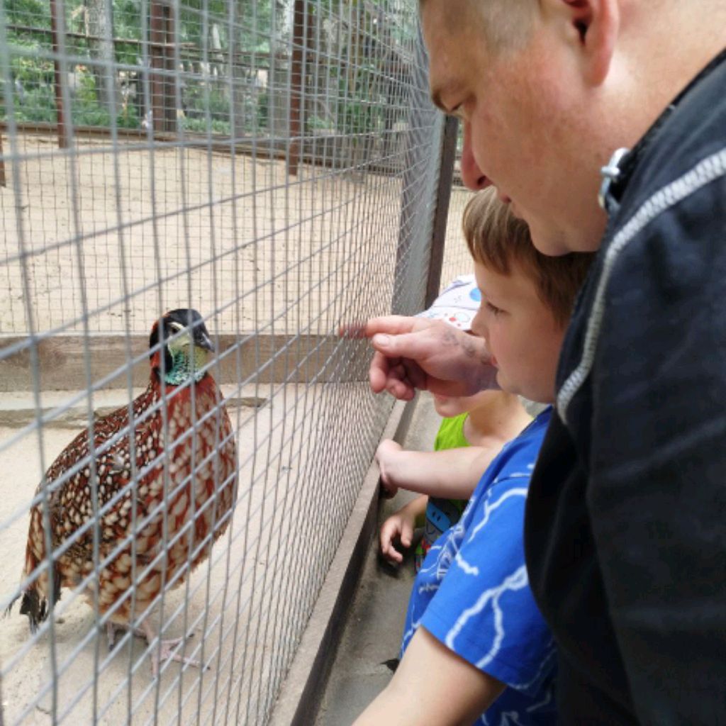 Иконка канала Roman Marchukov