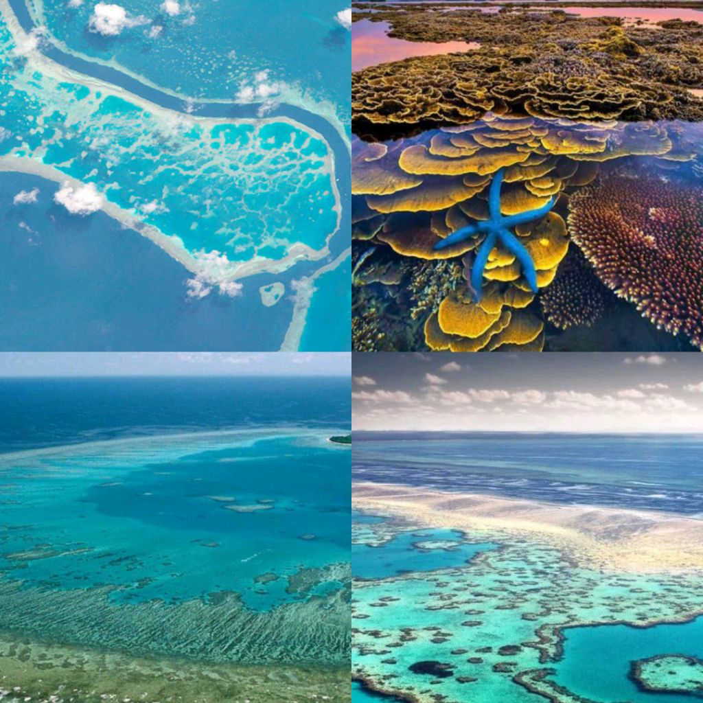 Иконка канала merlin