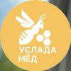 Иконка канала Услада Мёд. "Из жизни пчел"