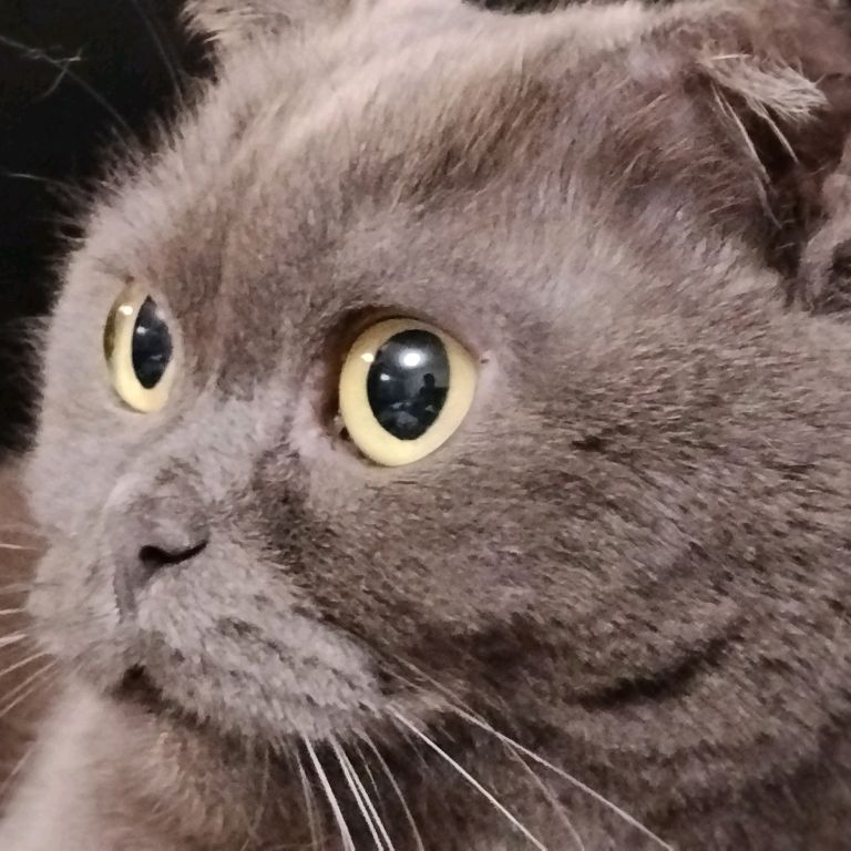 Иконка канала Skeleton 228 пабг И Мир Танков