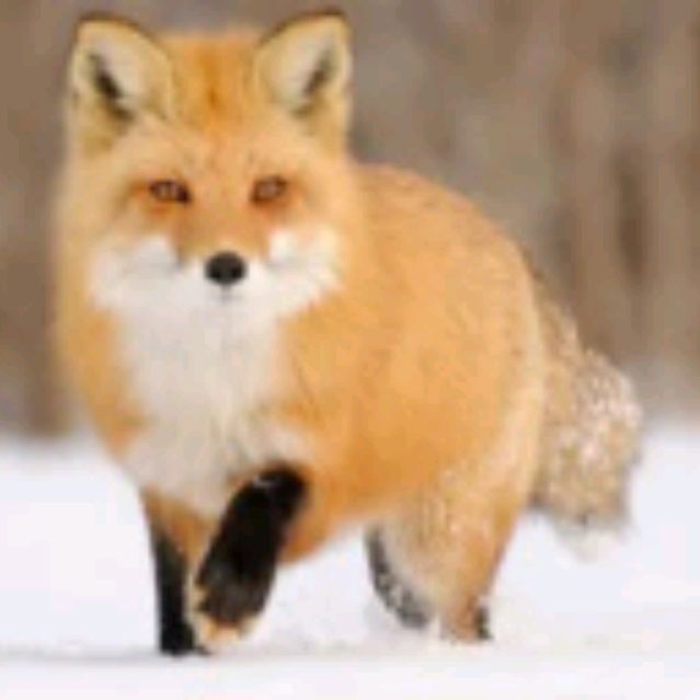 Иконка канала Muxun75