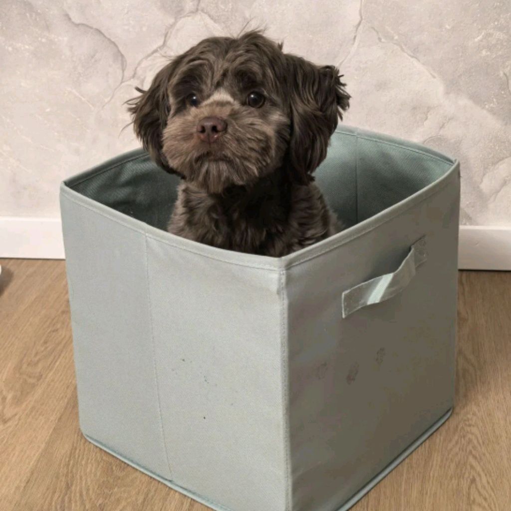 Иконка канала АндрейкаБатарейка