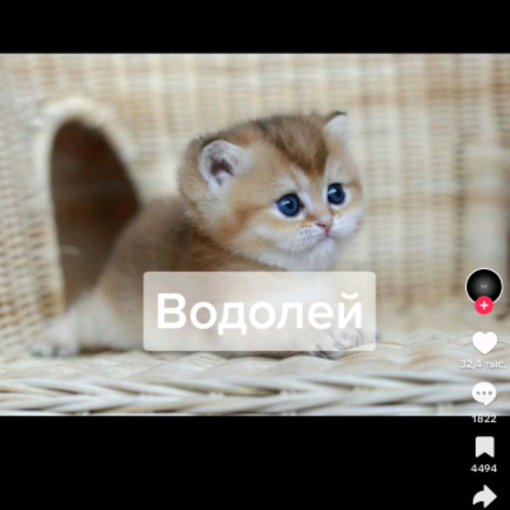 Иконка канала Настя Плей