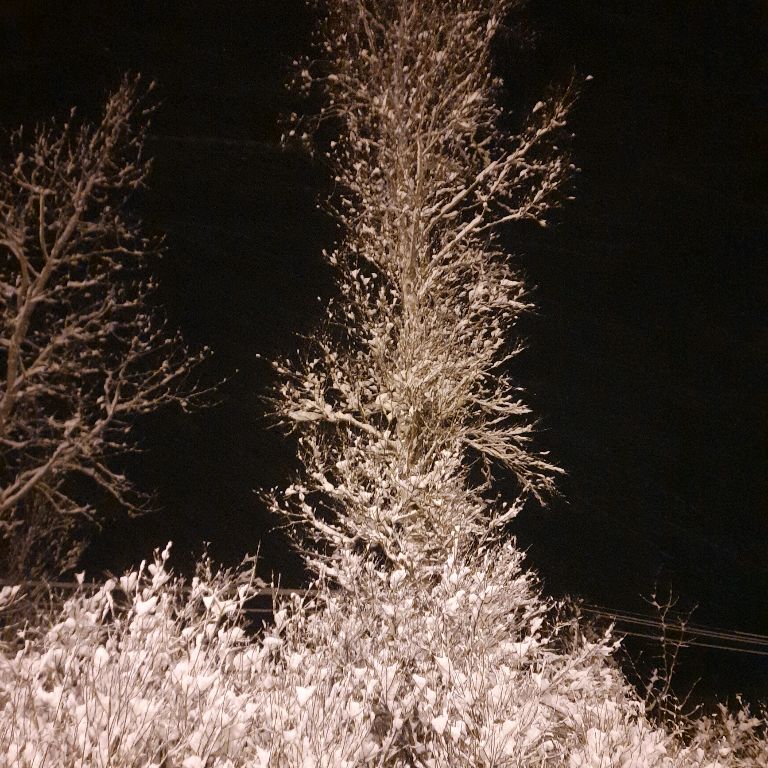 Иконка канала Бони