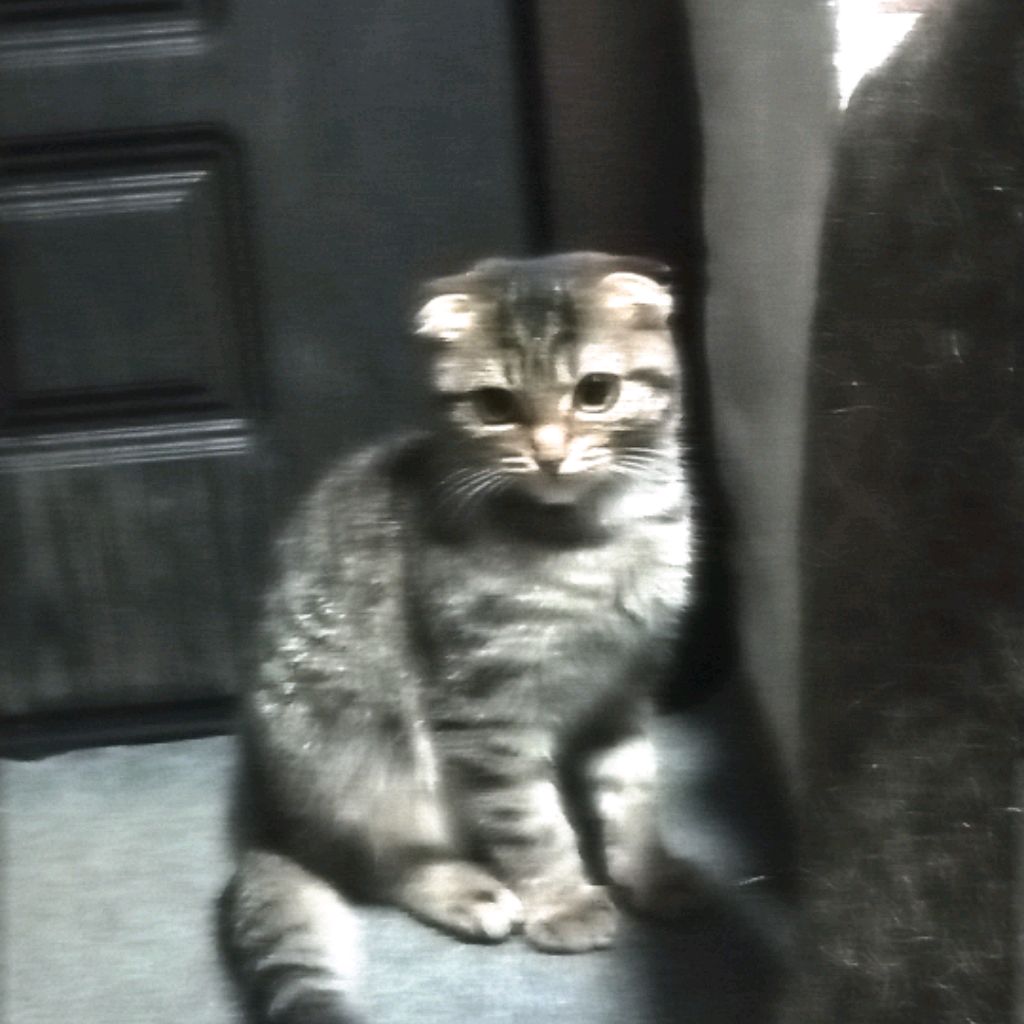 Иконка канала Lola Milyavskaya