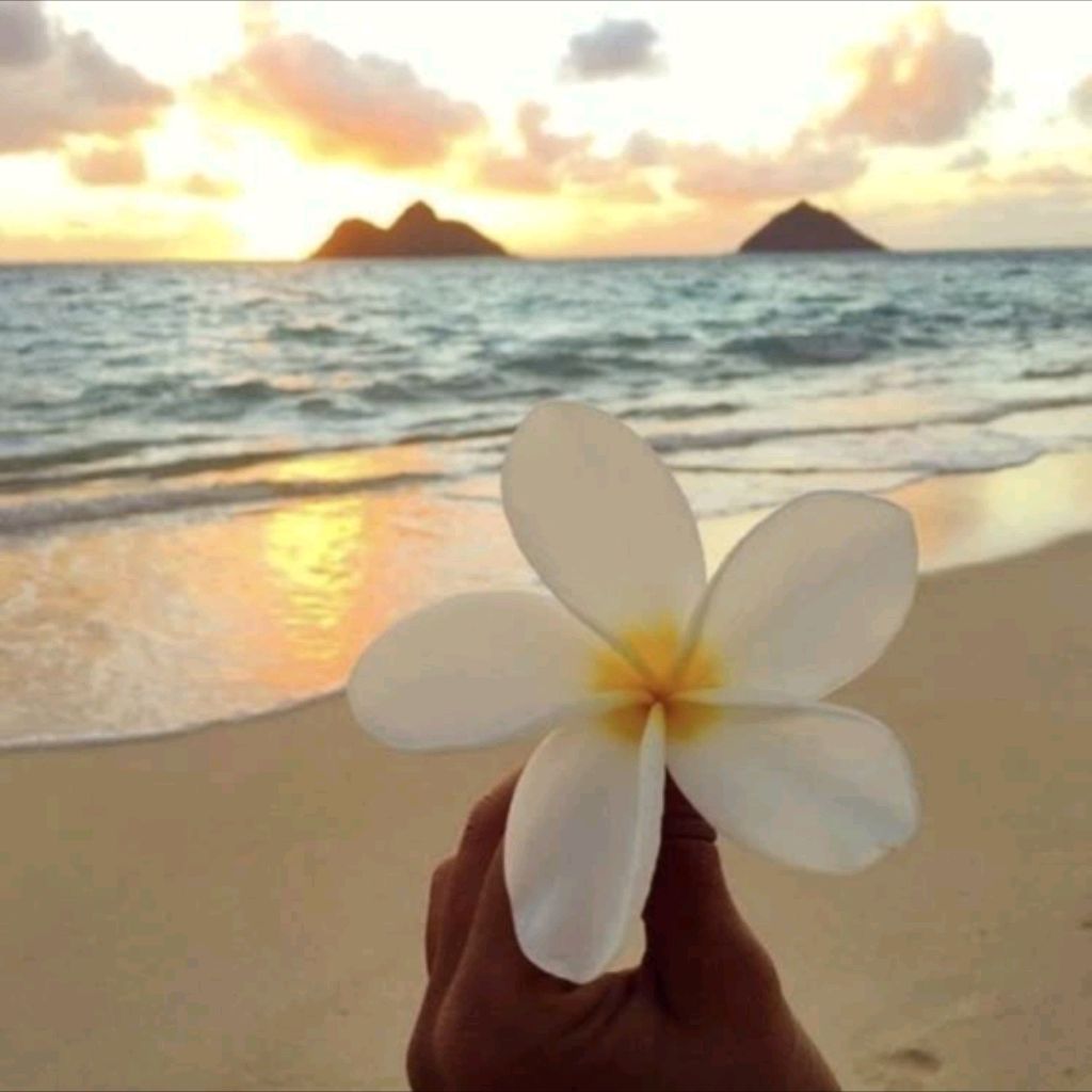 Иконка канала Настя Плей И Вика Плей