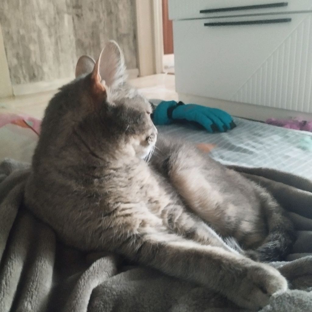 Иконка канала Мира КССС