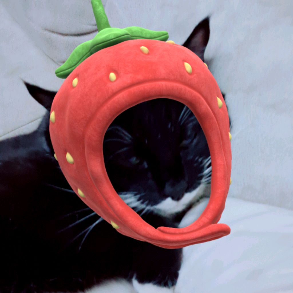 Иконка канала 🫠🖤Ксюша😜🤪⚡🌱🍄🌼🌻