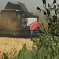 Иконка канала Саныч_FS