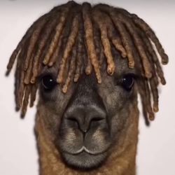 Иконка канала IriS