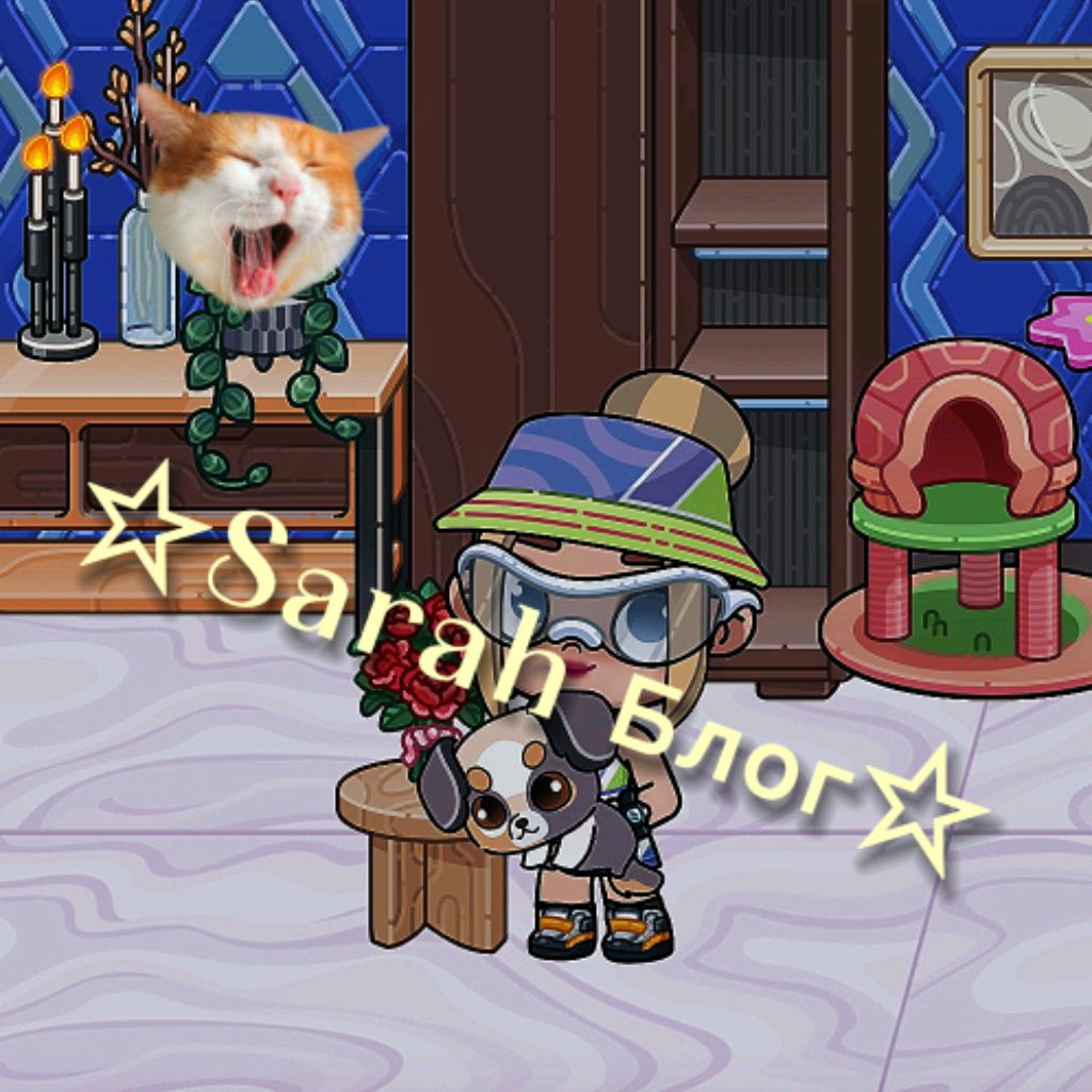 Иконка канала ☆Sarah Блог☆
