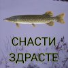 Иконка канала Снасти Здрасте
