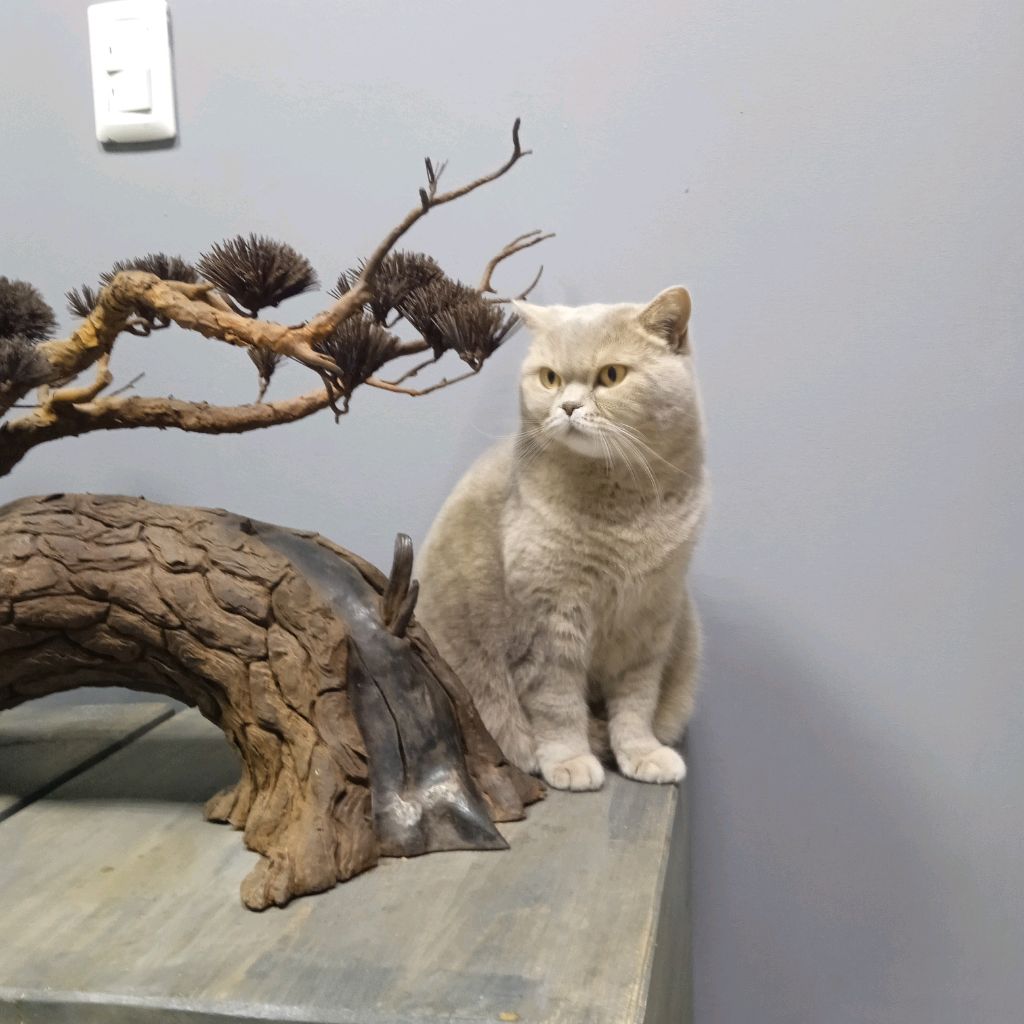 Иконка канала !_Anna_!