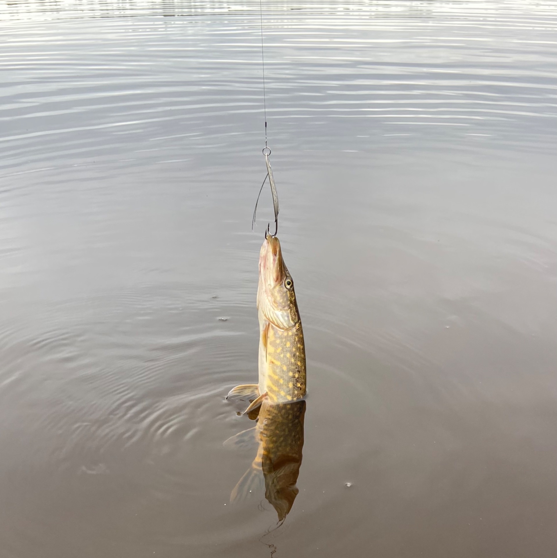 Иконка канала САША РЫБАЧЁК 🎣