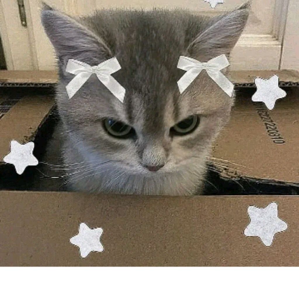 Иконка канала Мил Вис