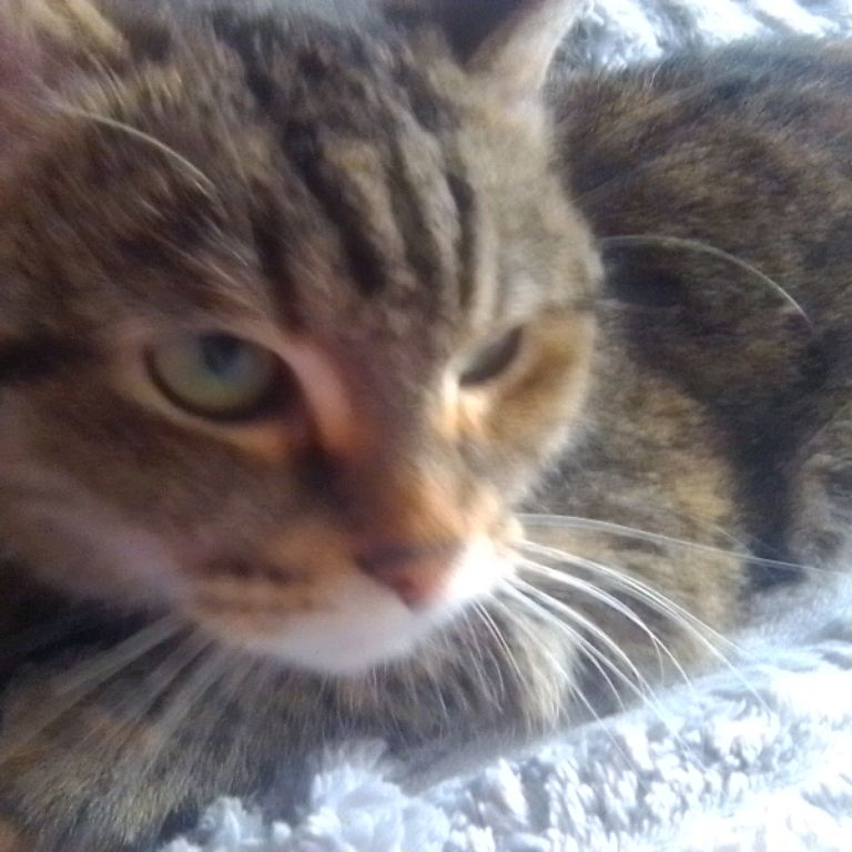 Иконка канала Влад А7