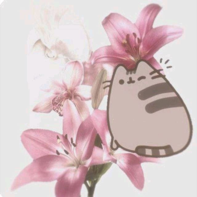 Иконка канала Kristina's Life 🌸✨