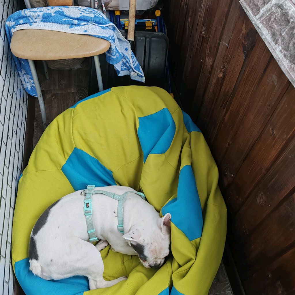 Иконка канала Black enderman