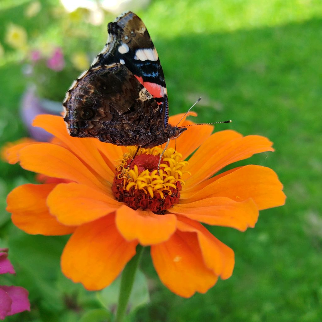 Иконка канала Самое интересное и полезное.