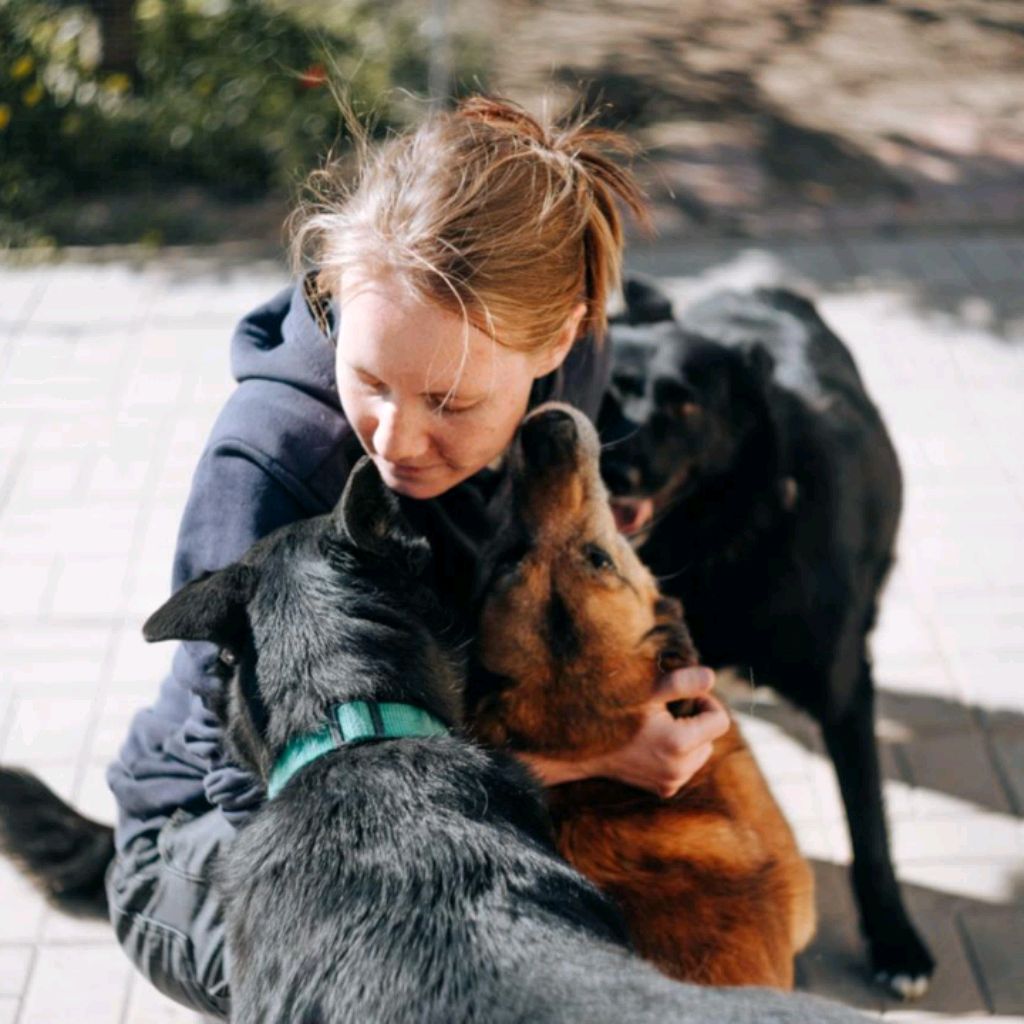 Иконка канала Шерстяная Семья