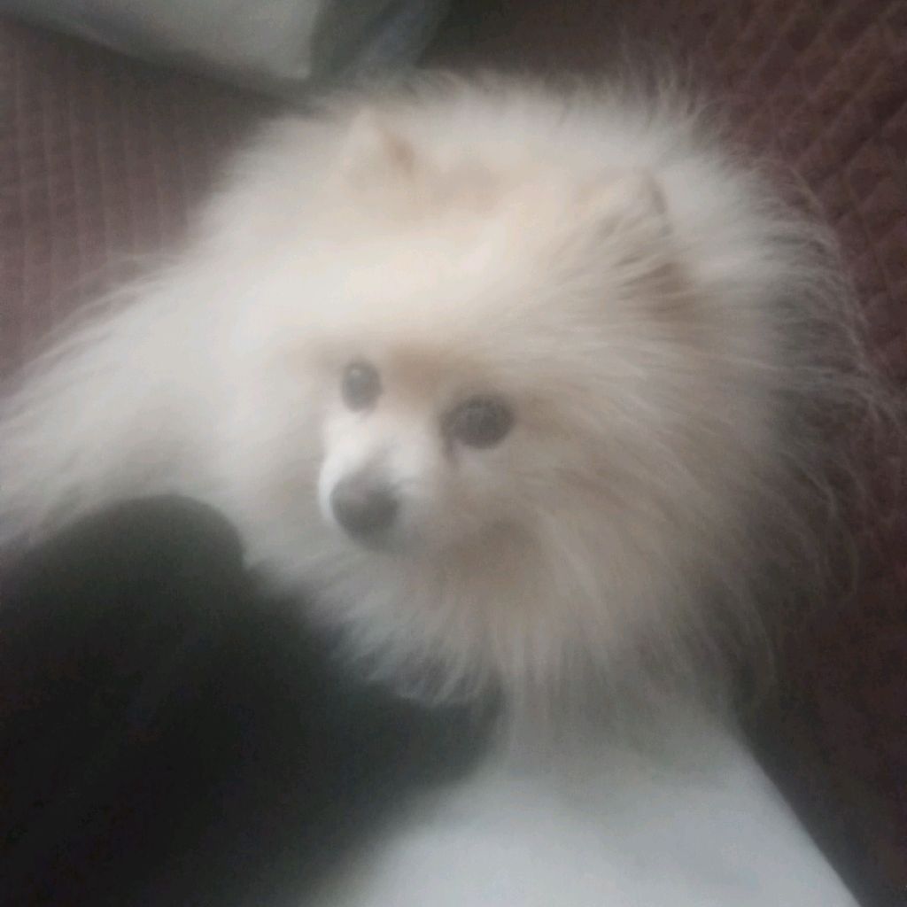 Иконка канала channel76128111