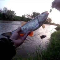 Иконка канала Рыбалка на спиннинг.