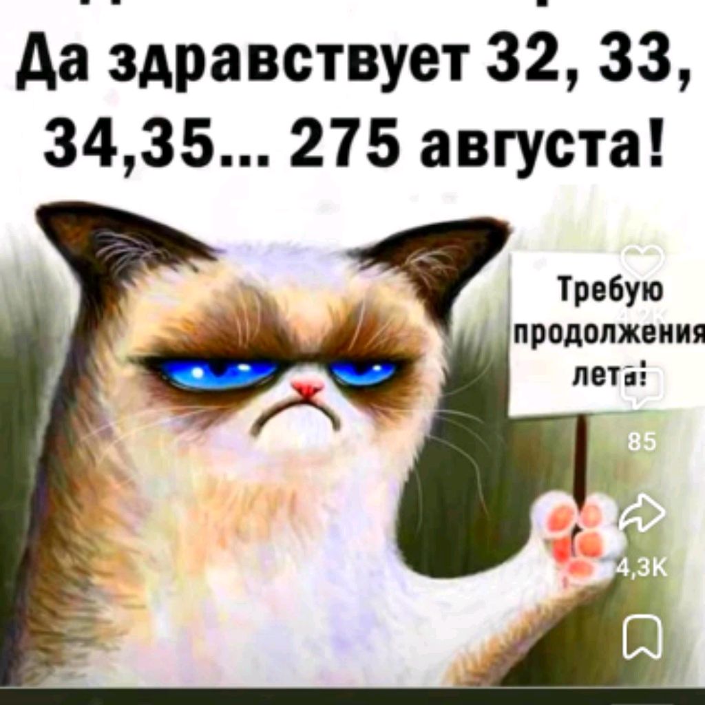 Иконка канала Кот Обормот