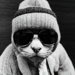 Иконка канала BRATISHKA