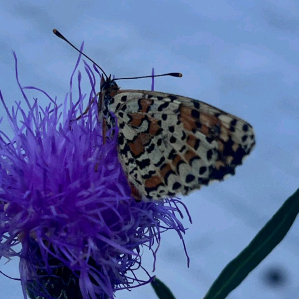 Иконка канала Творческий Человек:Мое Имя🎀