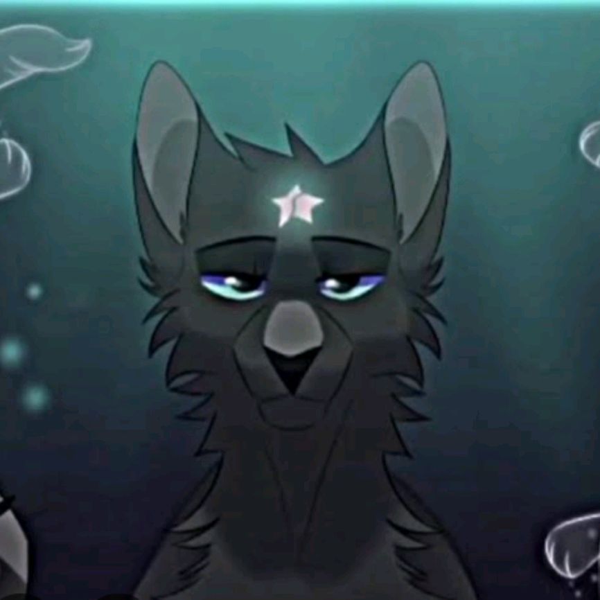 Иконка канала Коты воители