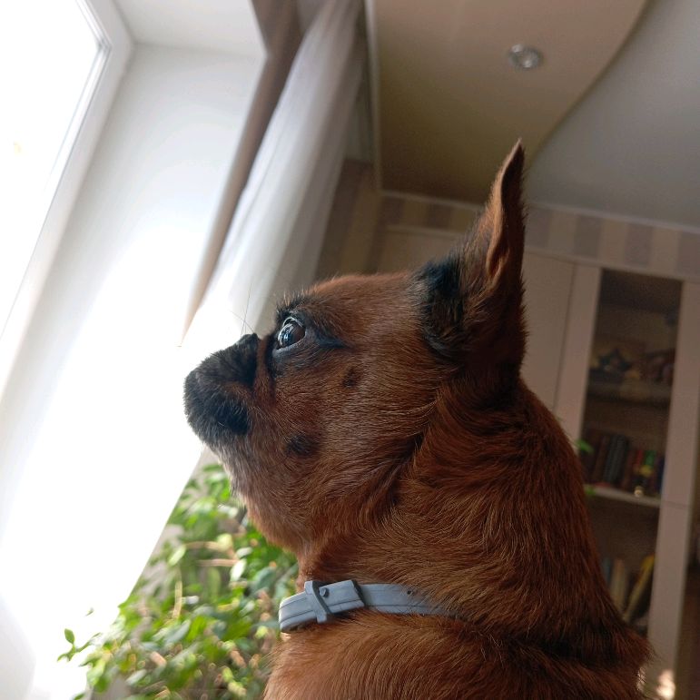 Иконка канала ✌Оля В🤟