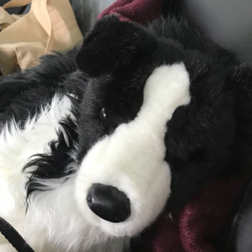 Иконка канала ᴀǫᴜᴀ ᴇssᴀ ᴘᴅʙ🇺🇸